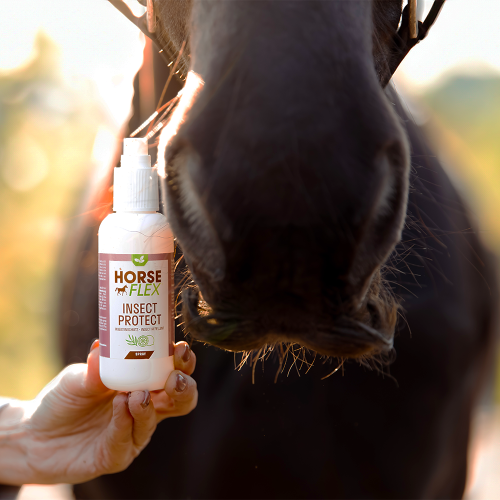 Insect Protect Spray - HorseFlex