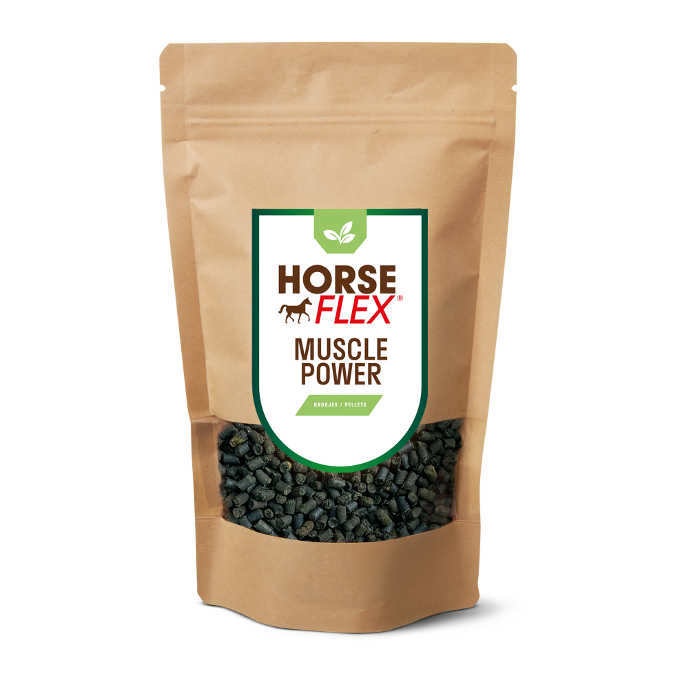 Muscle Power Sample for horses - HorseFlex%